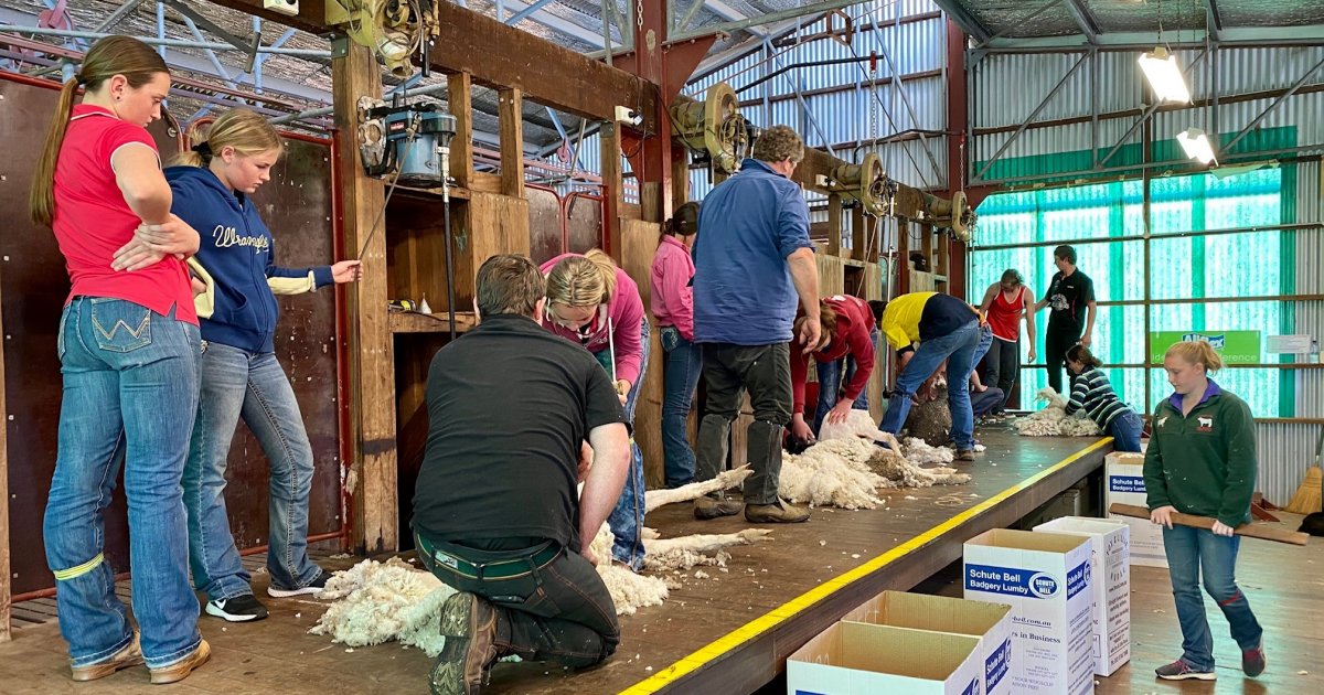 Students Flock Back to Be Inspired at our Shearing School